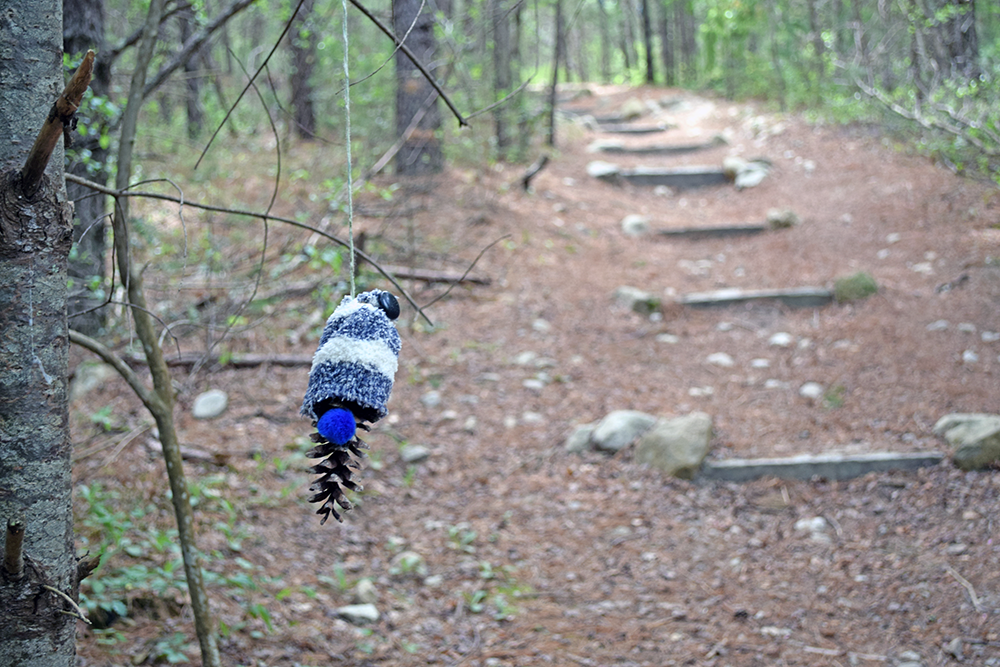 Tiny mythical creatures spotted at Ridge Hill Reserve | Dartmouth