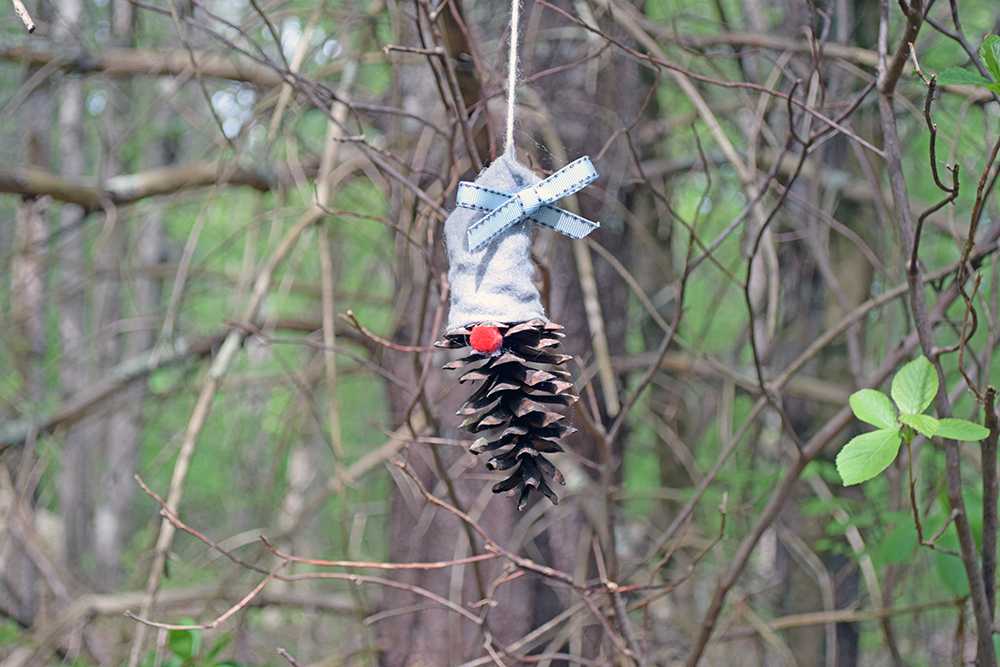 Tiny mythical creatures spotted at Ridge Hill Reserve | Dartmouth