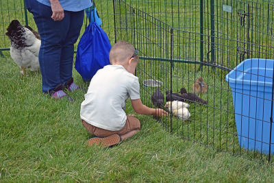 Dartmouth emphasizes the importance of mental health at Feel Good Fair ...